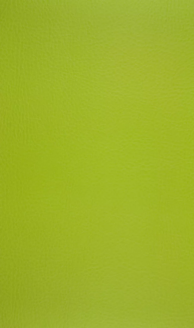 25 apple Cabro | Aristide