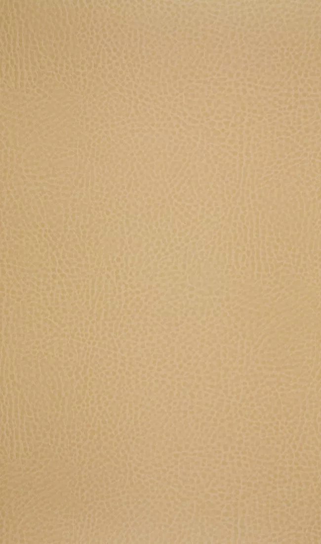 01 camel Cabro | Aristide