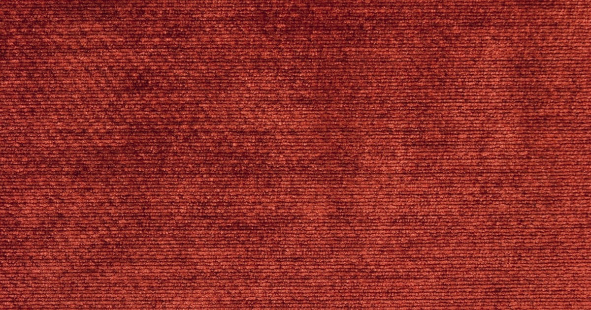 21 amber Troy | Aristide